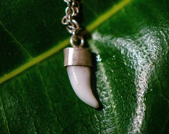 Dog Tooth | Etsy
