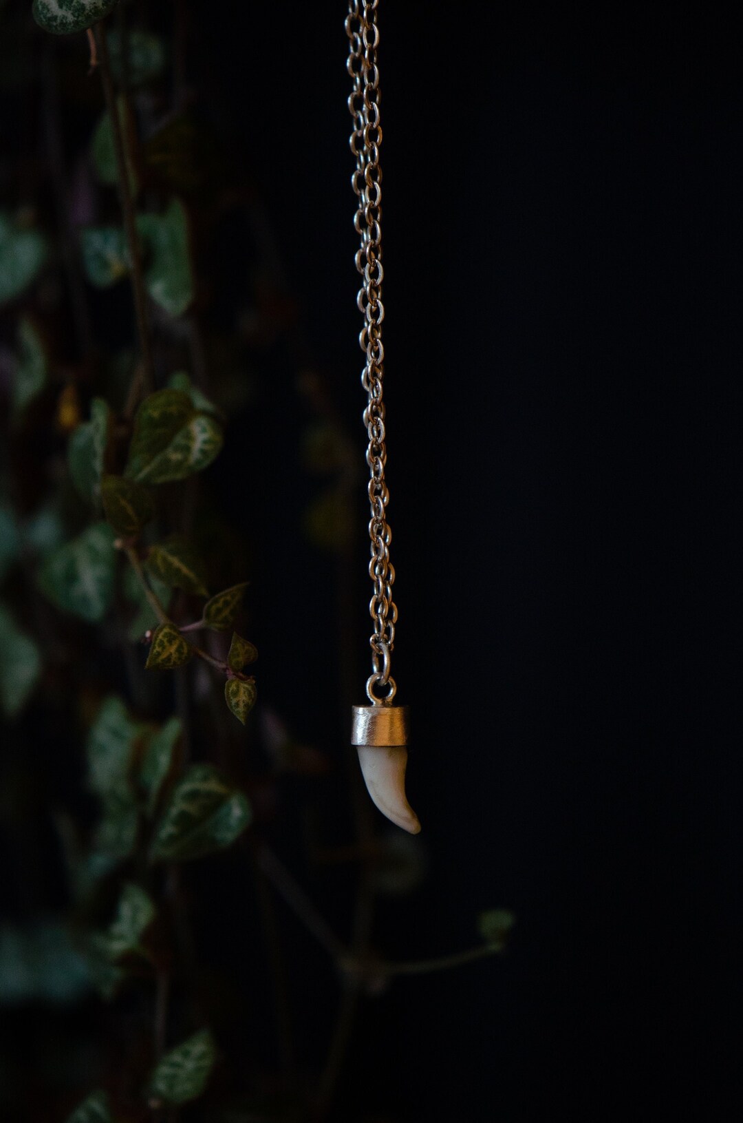 Custom Puppy/ Kitten Tooth Necklace // Pet Memorial Necklace // Dog ...