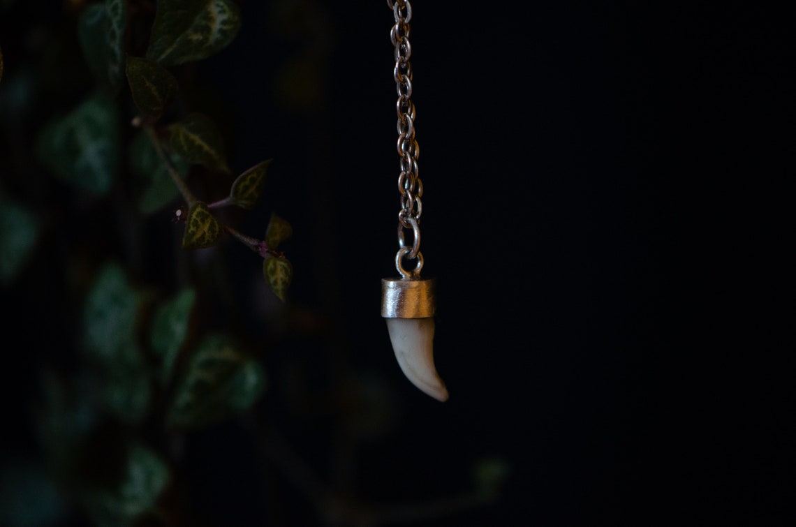 Custom Puppy/ Kitten Tooth Necklace // Pet Memorial Necklace - Etsy