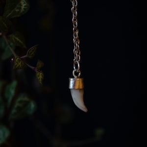 Custom Puppy/ Kitten Tooth Necklace // Pet Memorial Necklace // Dog ...