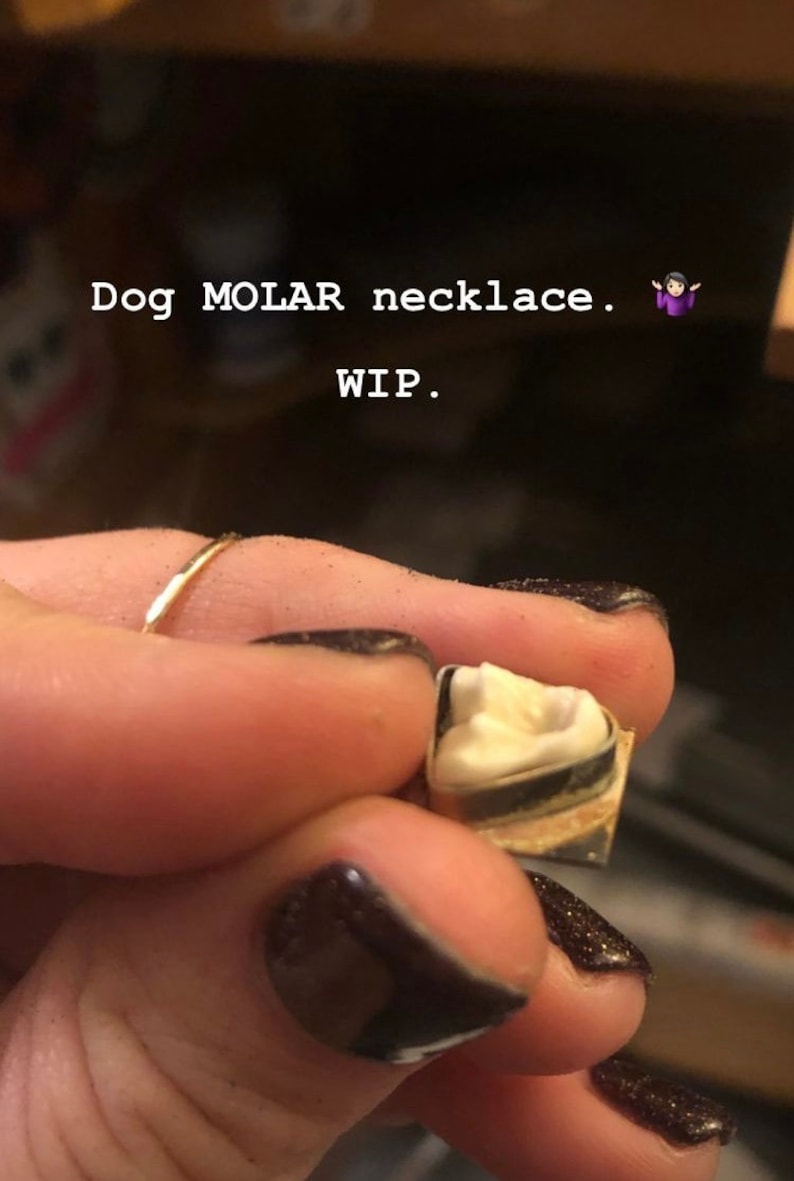 Custom Puppy/ Kitten Tooth Necklace // Pet Memorial Necklace - Etsy