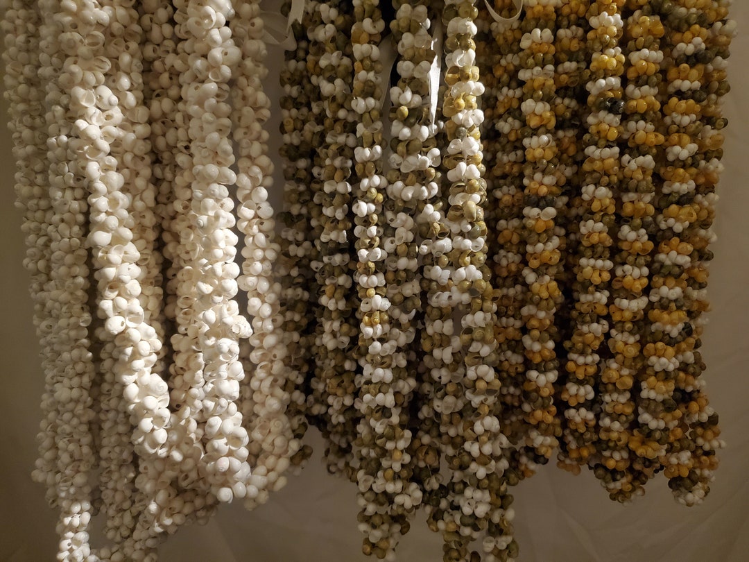 New Hawaii Wedding Mongo Shell With Kukui Nut Lei Necklace - Etsy