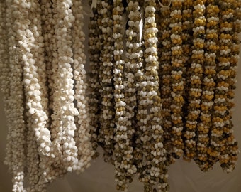 Mongo Shell Lei | Etsy