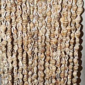 Nassa Shell Long Lei Necklace - 1, 2, 3, 4, 5 or 6 Strands About 56 ...