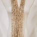 Nassa Shell Long Lei Necklace - 1, 2, 3, 4, 5 or 6 Strands About 56 ...