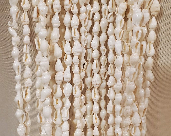 Kupe'e Shell Lei #23 - Etsy