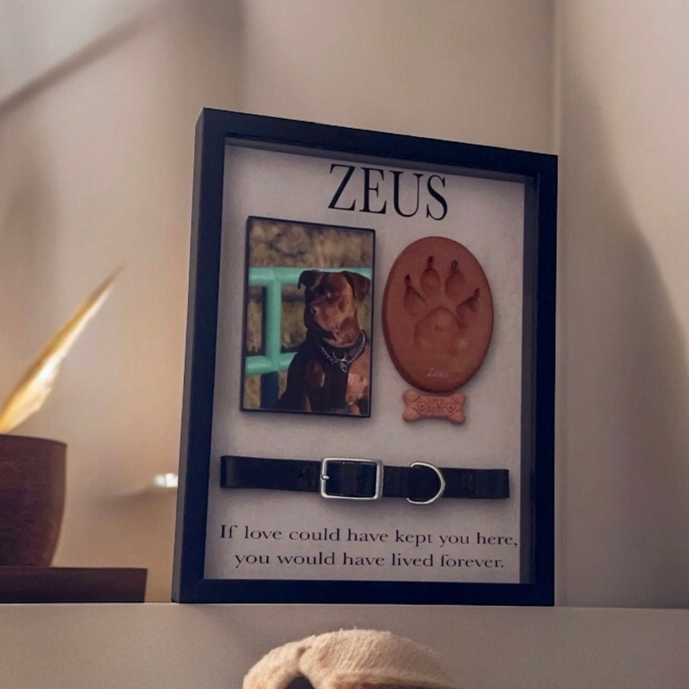 Pet Memorial Shadowbox || Pet Tribute Display | Memory Box | Memorial ...