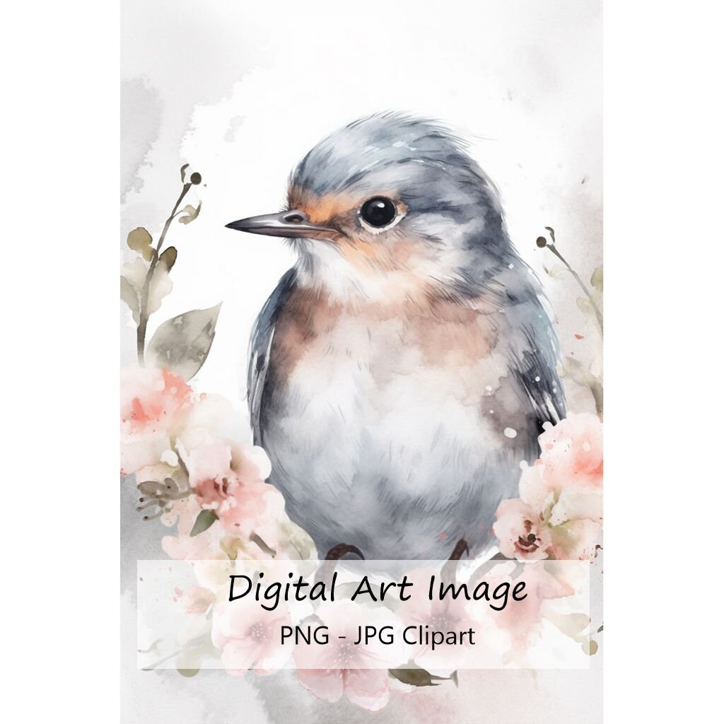 Festive Winter Birds Clipart Pack, 8 High Quality PNG, Instant Digital ...