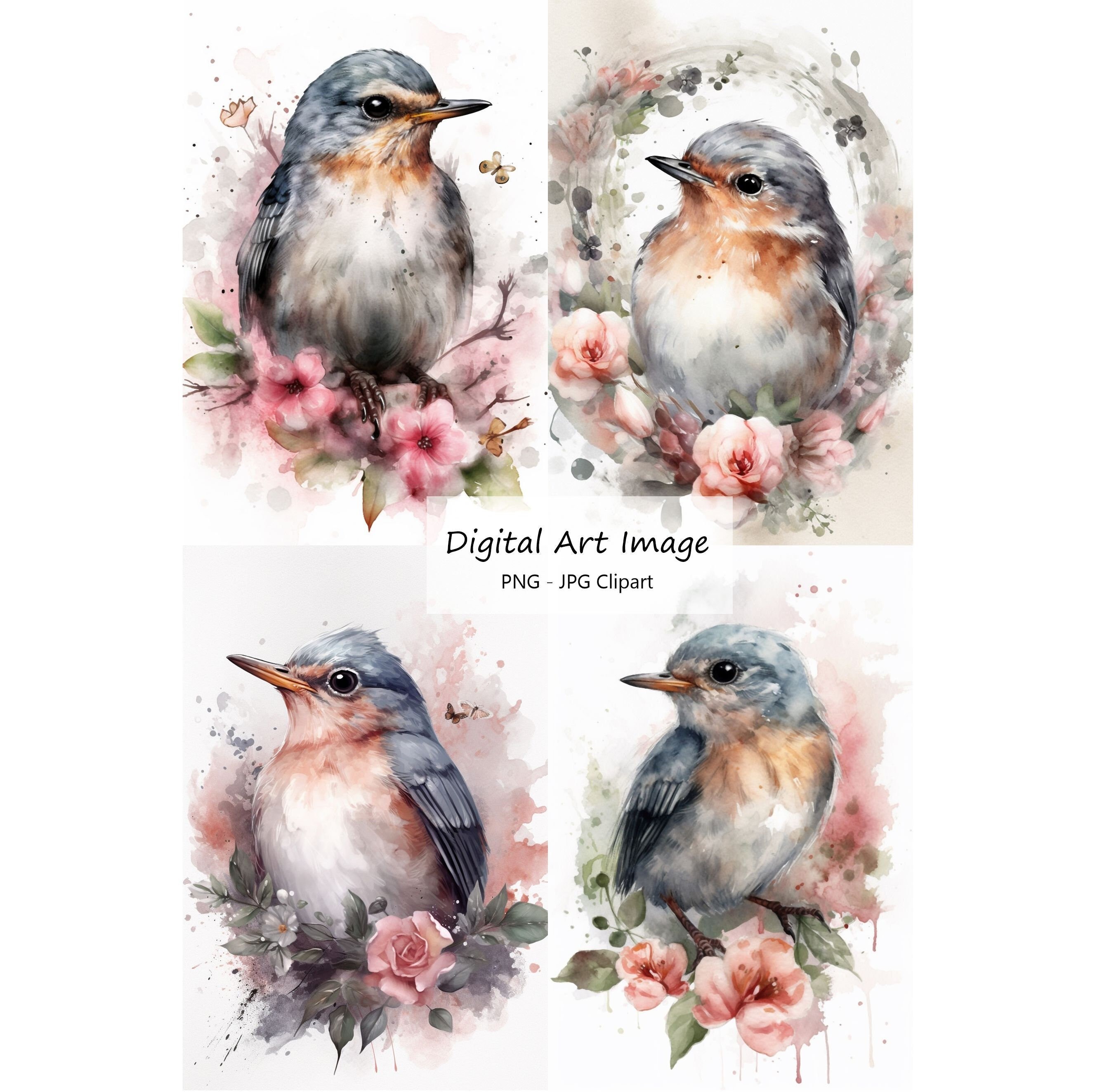 Festive Winter Birds Clipart Pack, 8 High Quality PNG, Instant Digital ...
