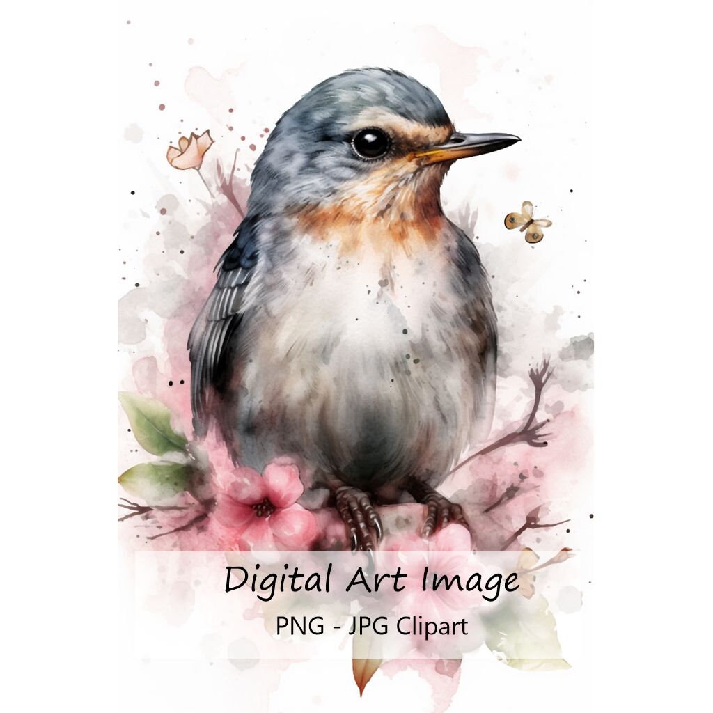 Festive Winter Birds Clipart Pack, 8 High Quality PNG, Instant Digital ...