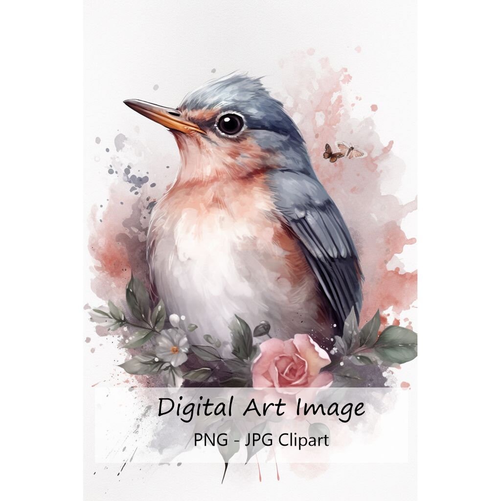 Festive Winter Birds Clipart Pack, 8 High Quality PNG, Instant Digital ...