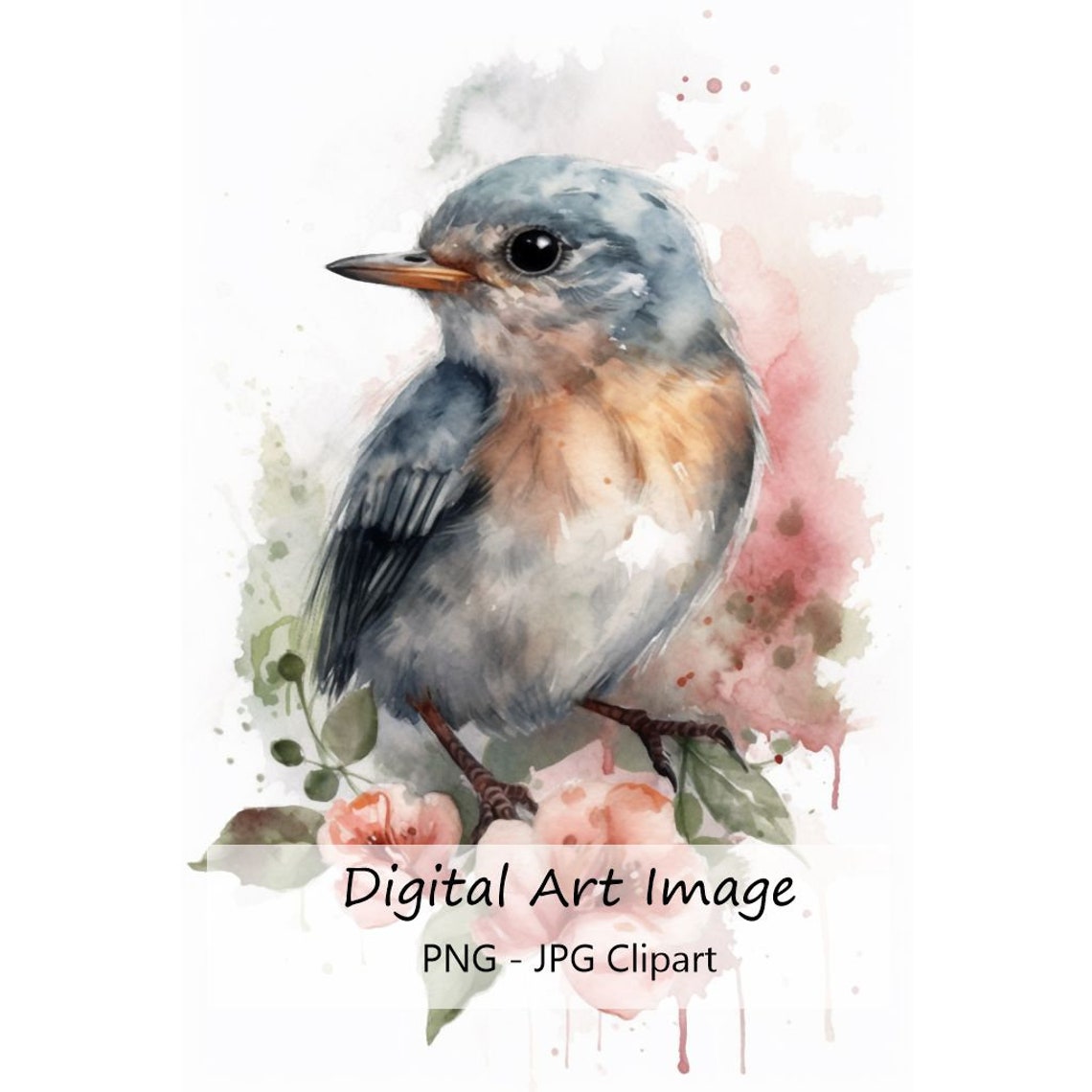 Festive Winter Birds Clipart Pack, 8 High Quality PNG, Instant Digital ...