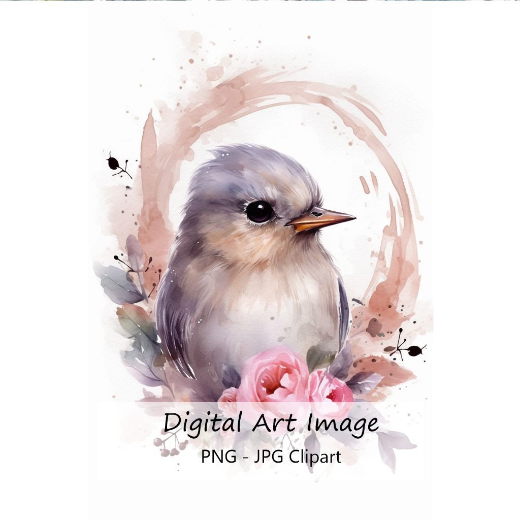 Festive Winter Birds Clipart Pack, 8 High Quality PNG, Instant Digital ...