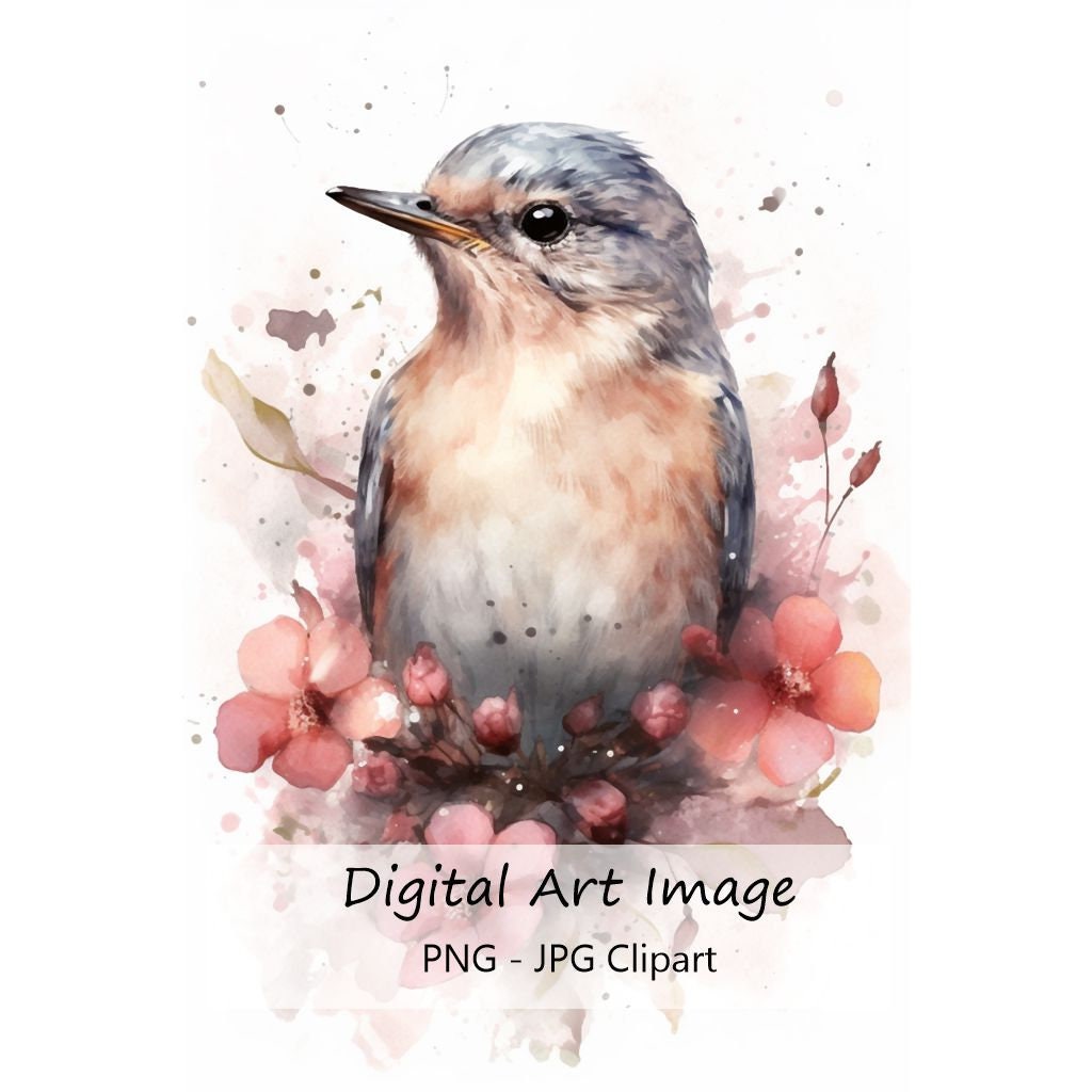 Festive Winter Birds Clipart Pack, 8 High Quality PNG, Instant Digital ...