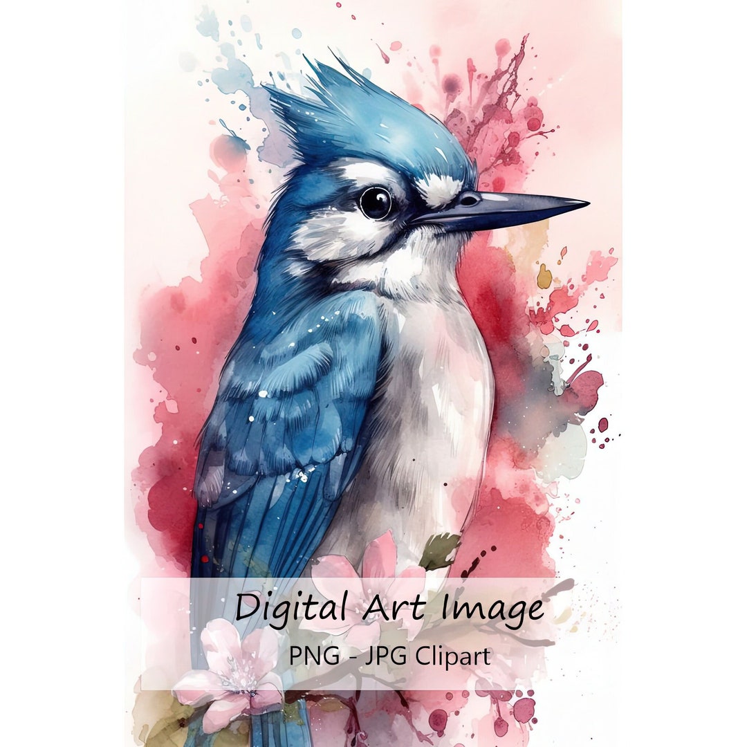 Blue Jay Clipart - Set of 3 High-quality Pngs - Digital Download for ...