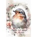 Festive Winter Birds Clipart Pack, 8 High Quality PNG, Instant Digital ...