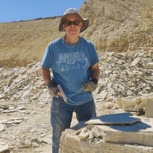 Nice Fossil Fish Plate, 50 Million Years Old, Knightia, Free Standing ...