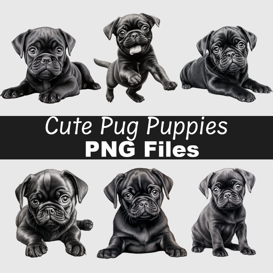 Pug Puppy PNG Pug Clipart Puppy Set Pug Bundle Dog Lover PNG Art - Etsy
