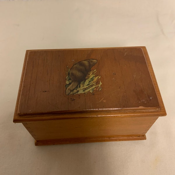 Wooden Beaver Box - Etsy