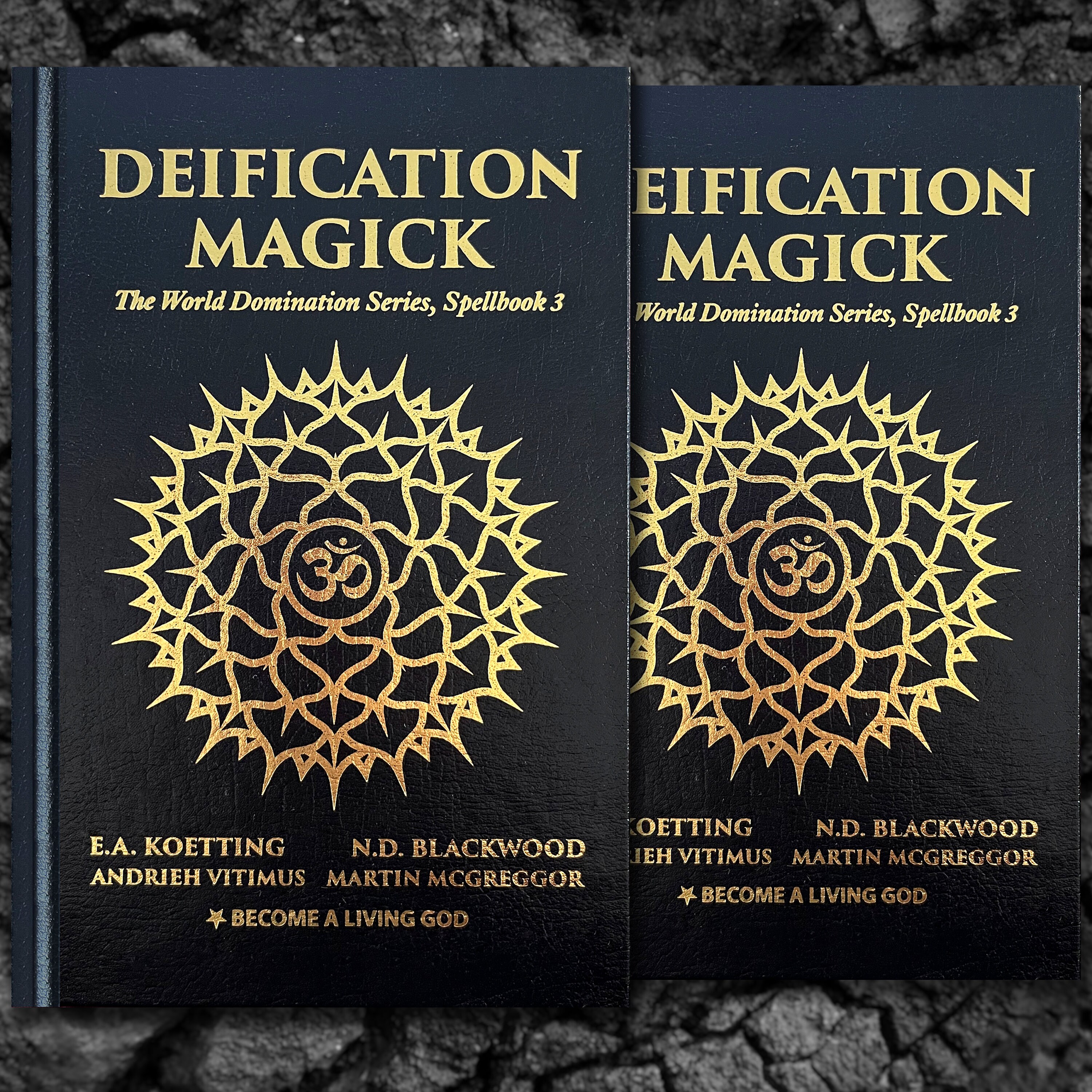The Deification Magick Spellbook by E.A. Koetting N.D. - Etsy