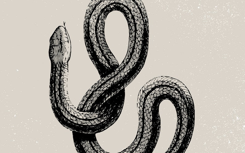 Vintage Snake Print: Creepy Halloween Art, Beige & Black (digital ...
