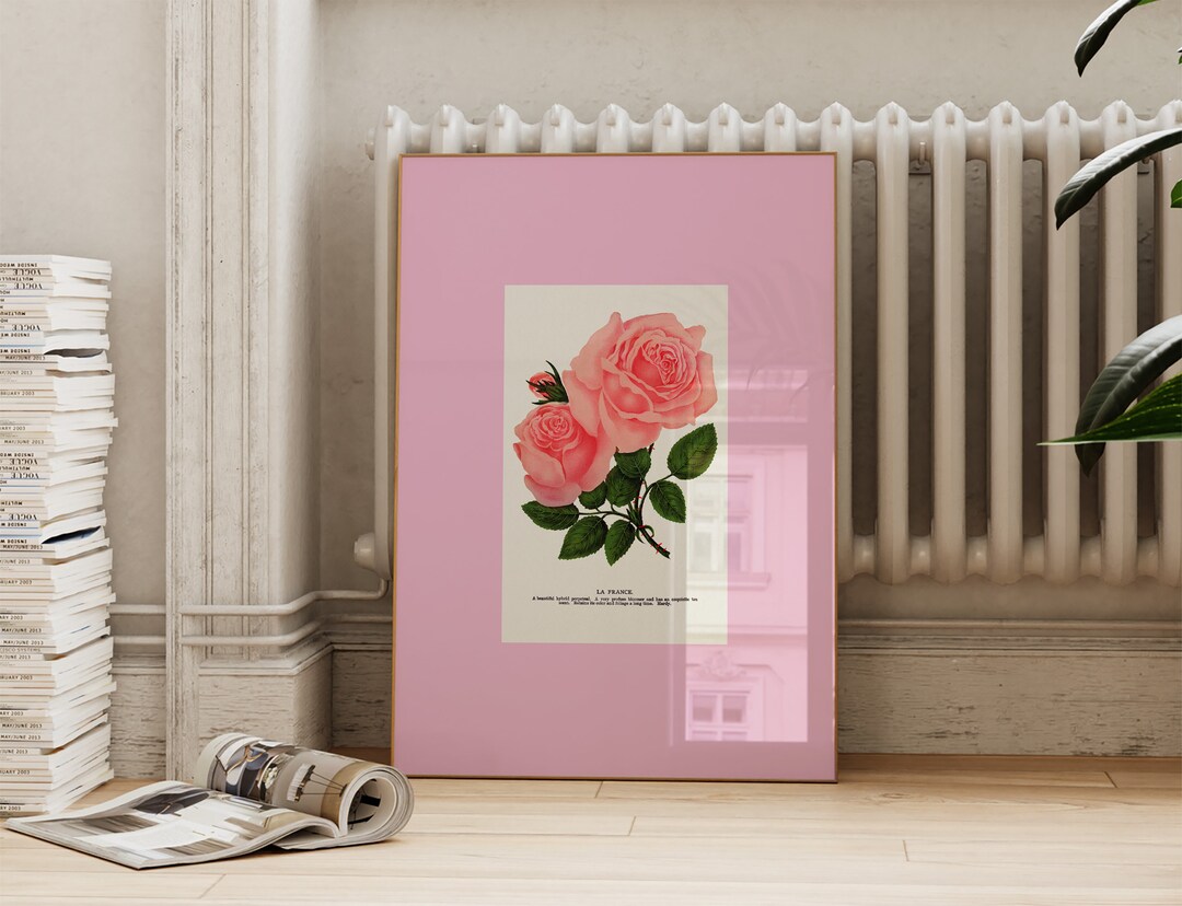 Pink Floral Print | Feminine Valentines Day Decor | Vintage Botanical ...