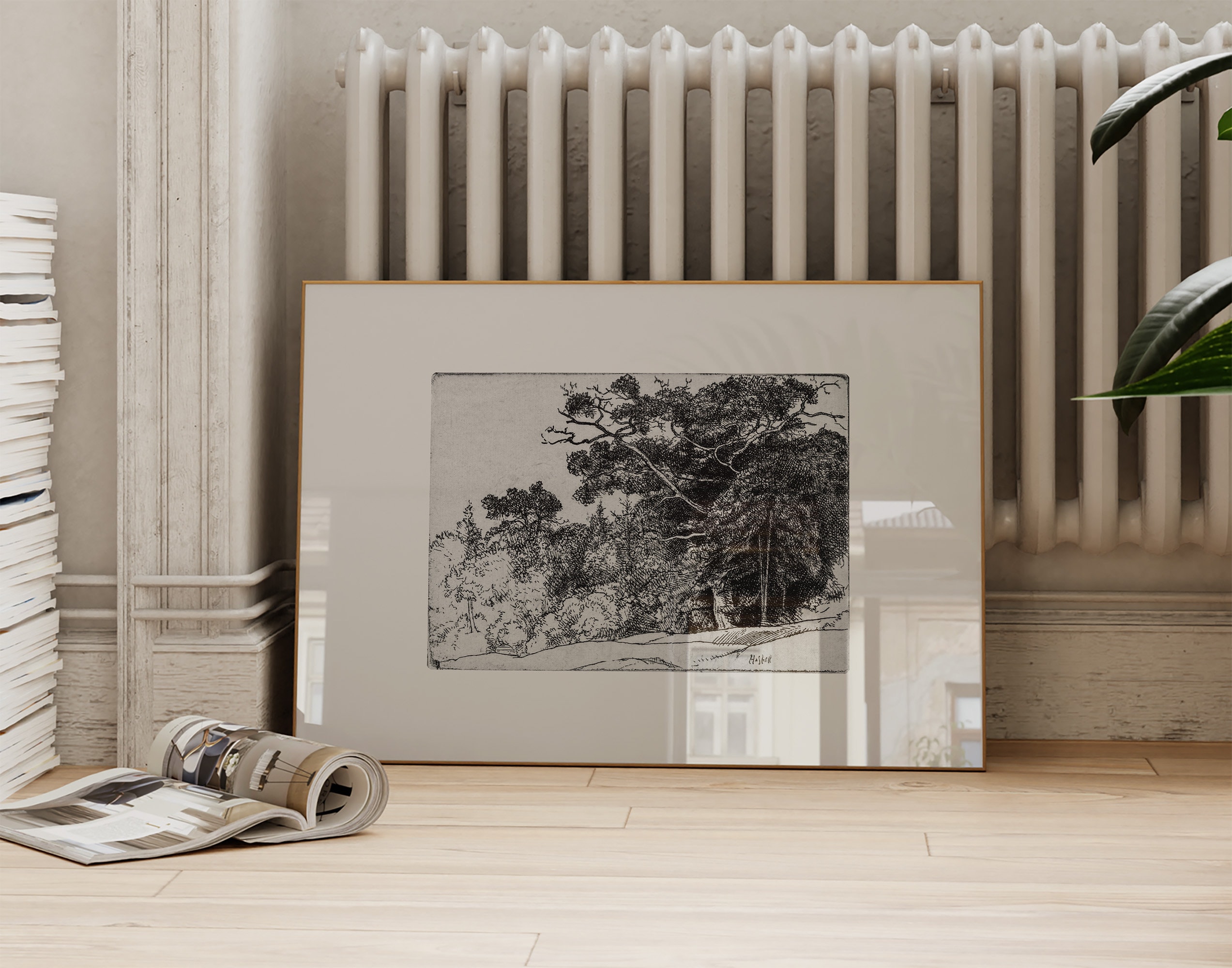 Vintage Tree Etching: Antique Forest Landscape Art (digital Download ...