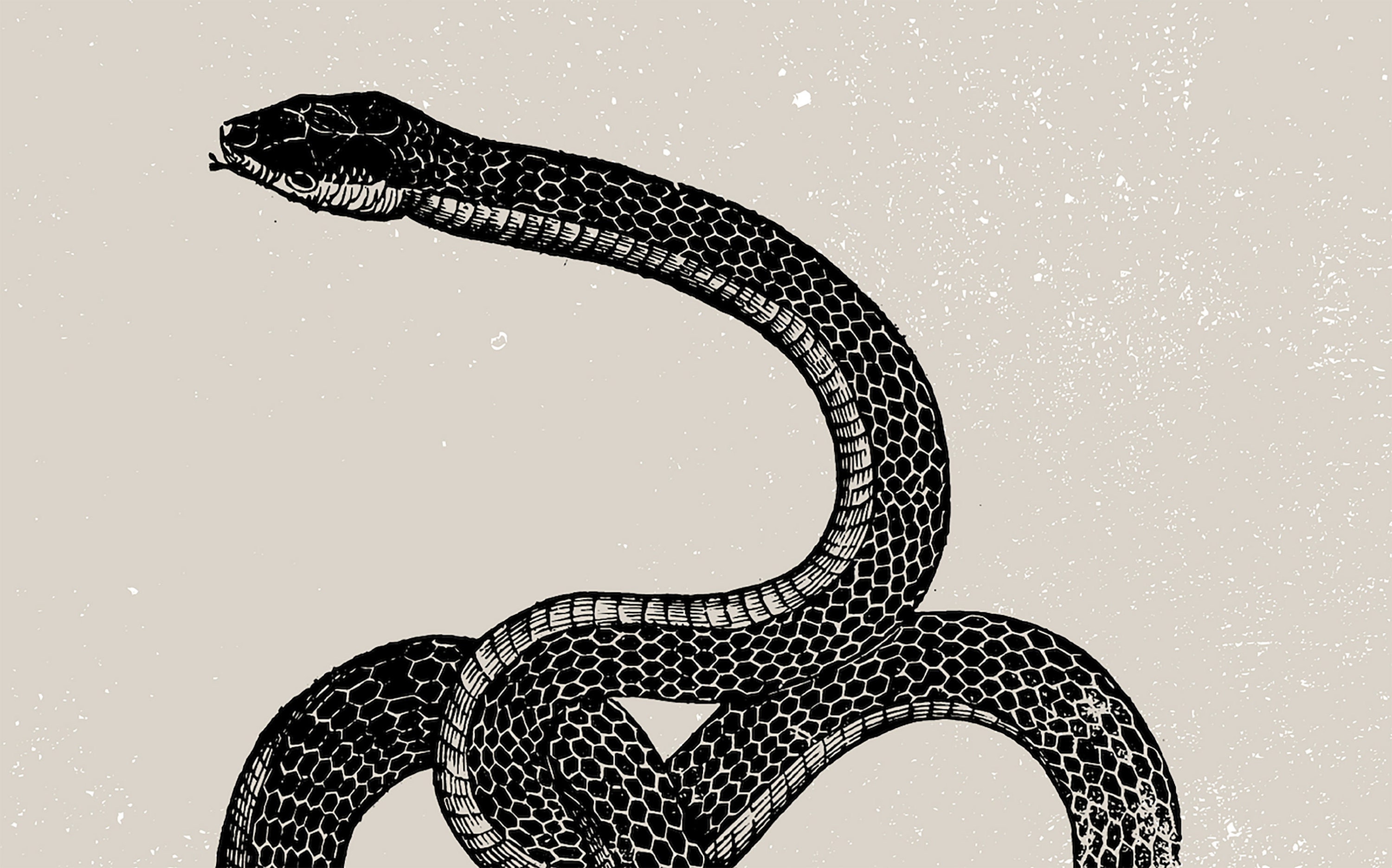 Vintage Halloween Art Neutral Snake Print Creepy Rustic - Etsy