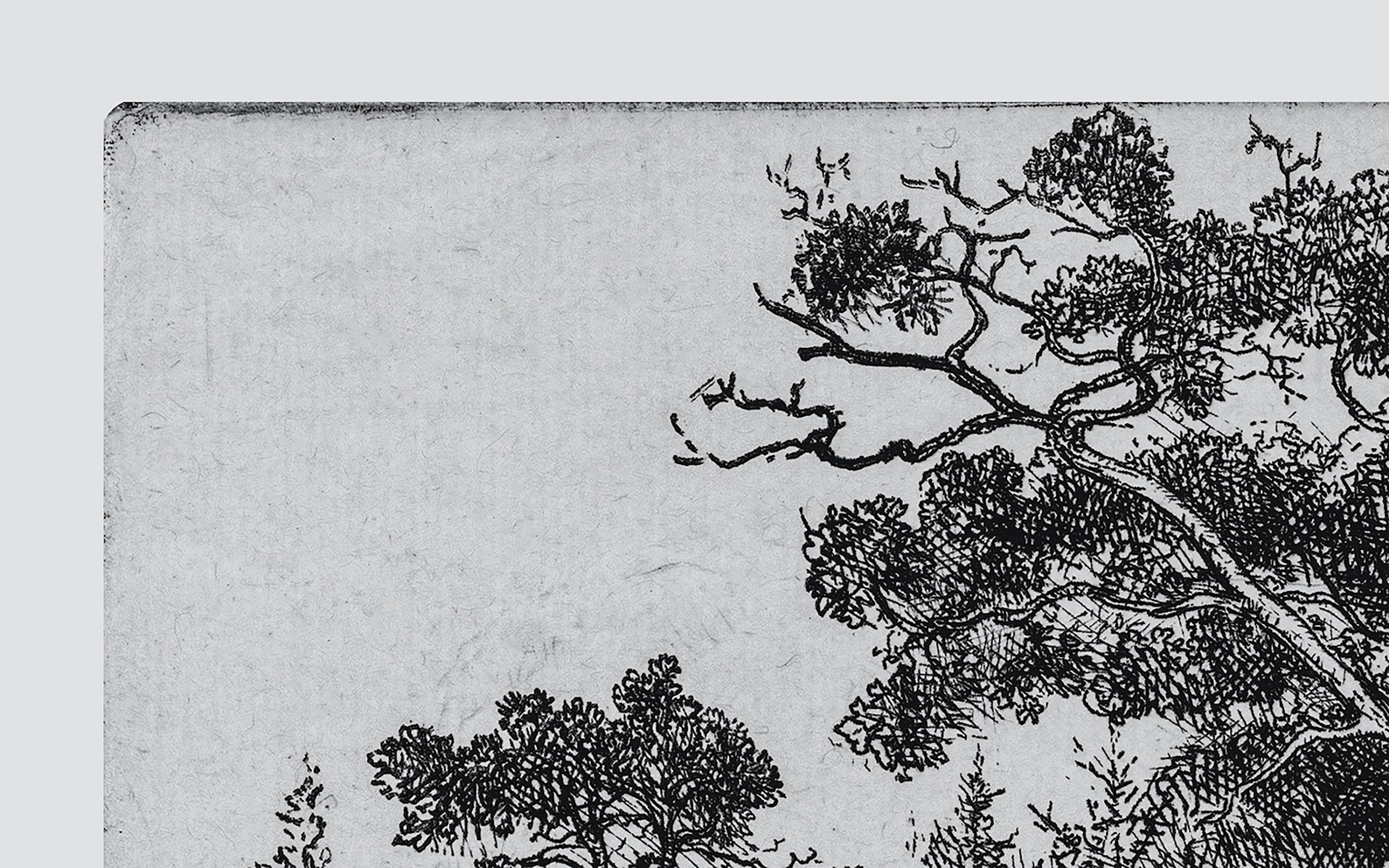 Vintage Tree Etching: Antique Forest Landscape Art (digital Download ...