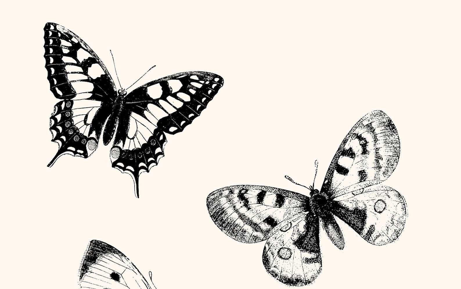 Vintage Butterfly Art Printable Antique Art Print Minimal - Etsy