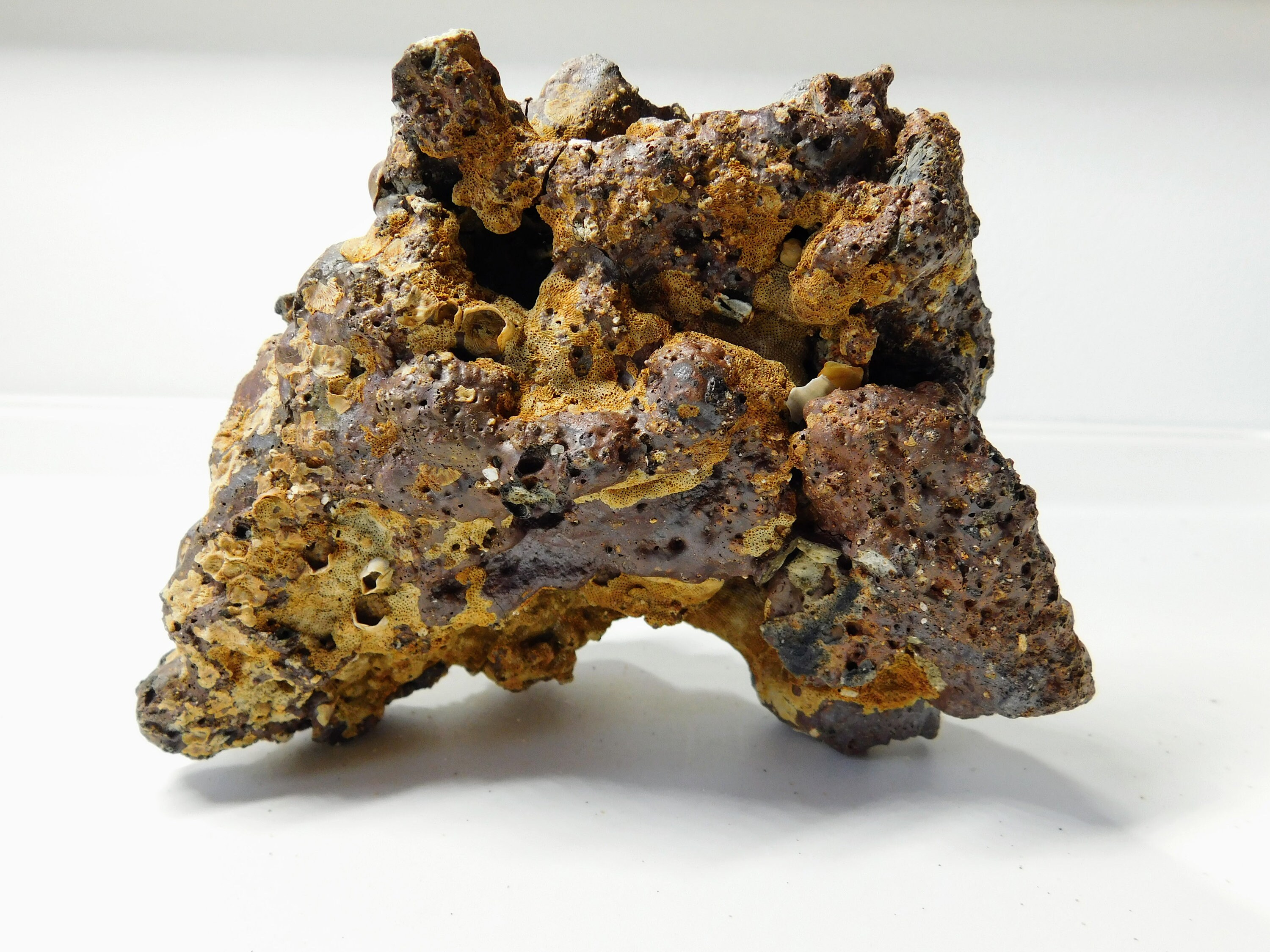 Aquarium Natural Volcanic Lava Rock. Fish Tank Stones. Natural Porous ...