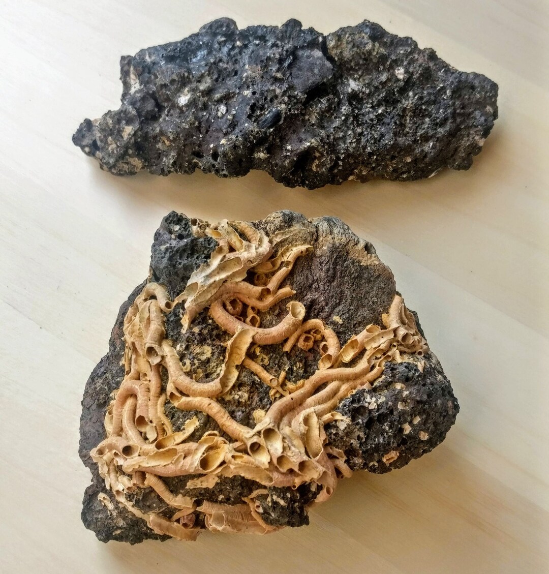 Aquarium Natural Volcanic Lava Rocks. Fish Tank Stones. Natural Porous ...
