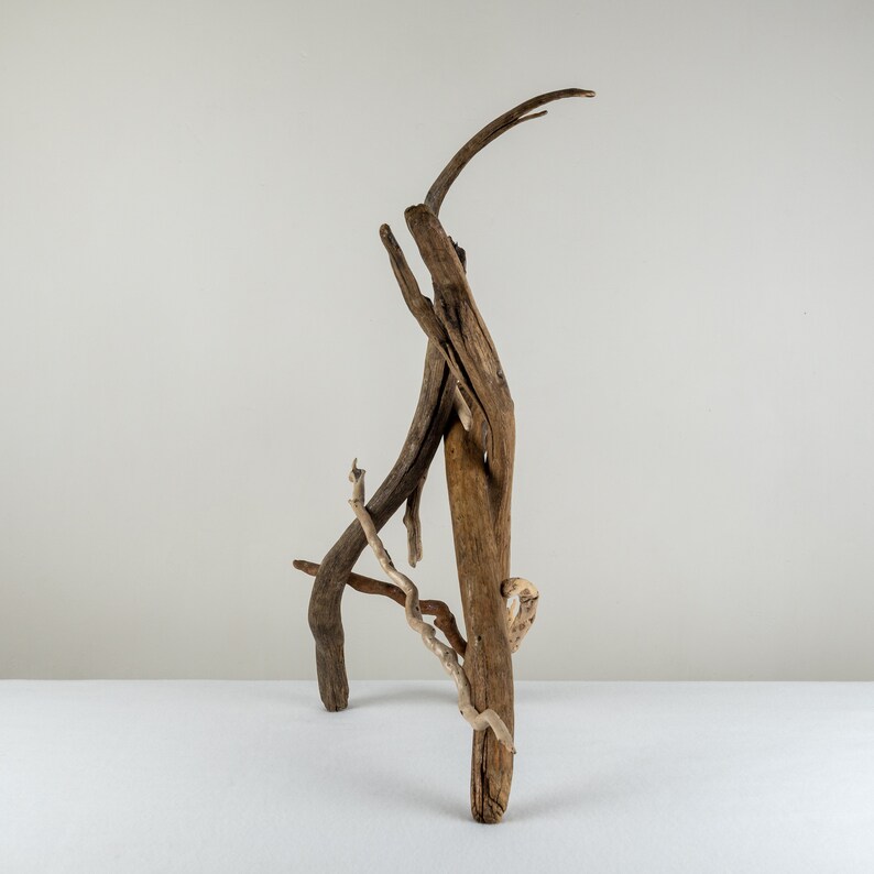 Snakes. Driftwood Sculpture. Abstract Art. Interior Design. - Etsy