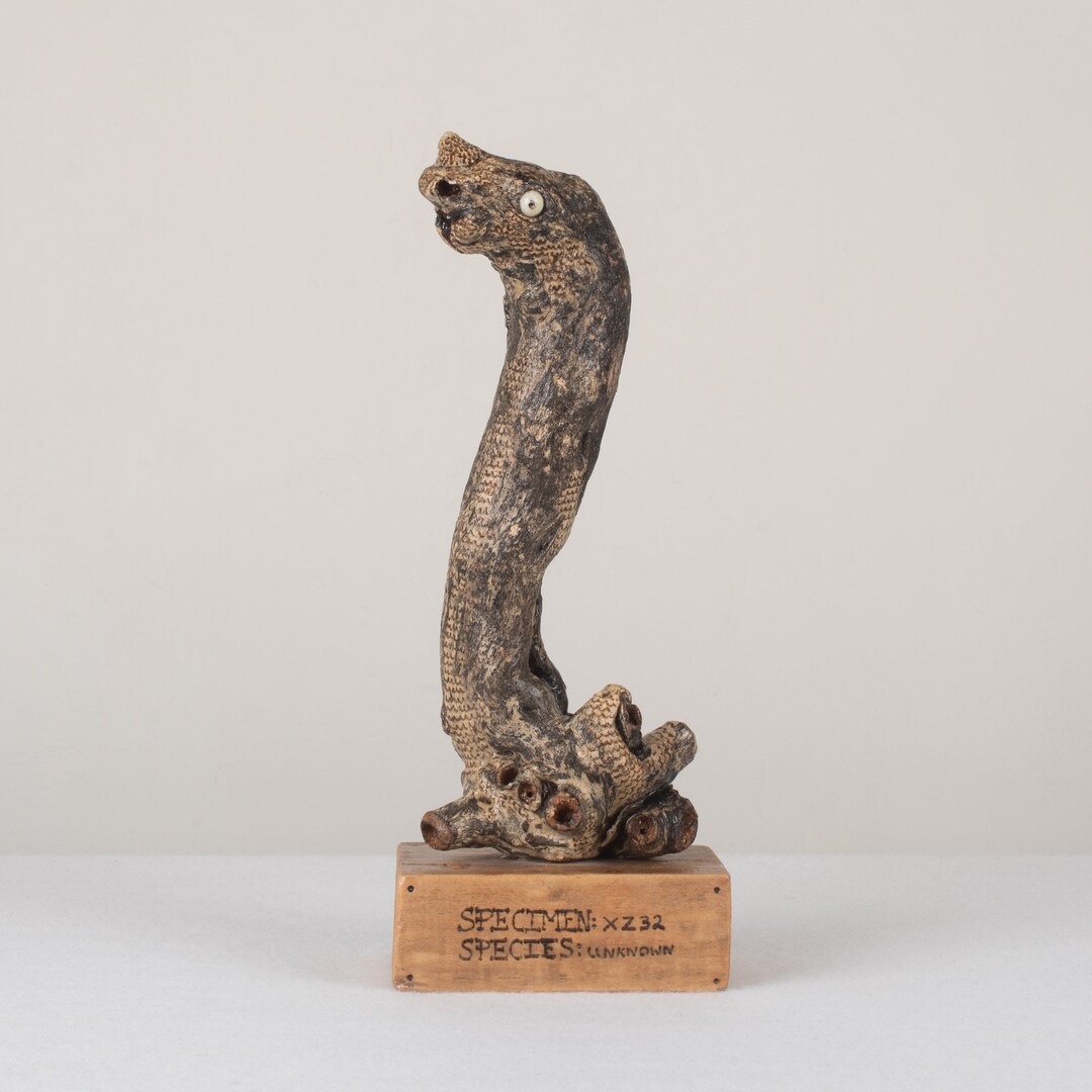 Specimen: XZ32, Driftwood Sculpture, Abstract Art, Alien Creature ...