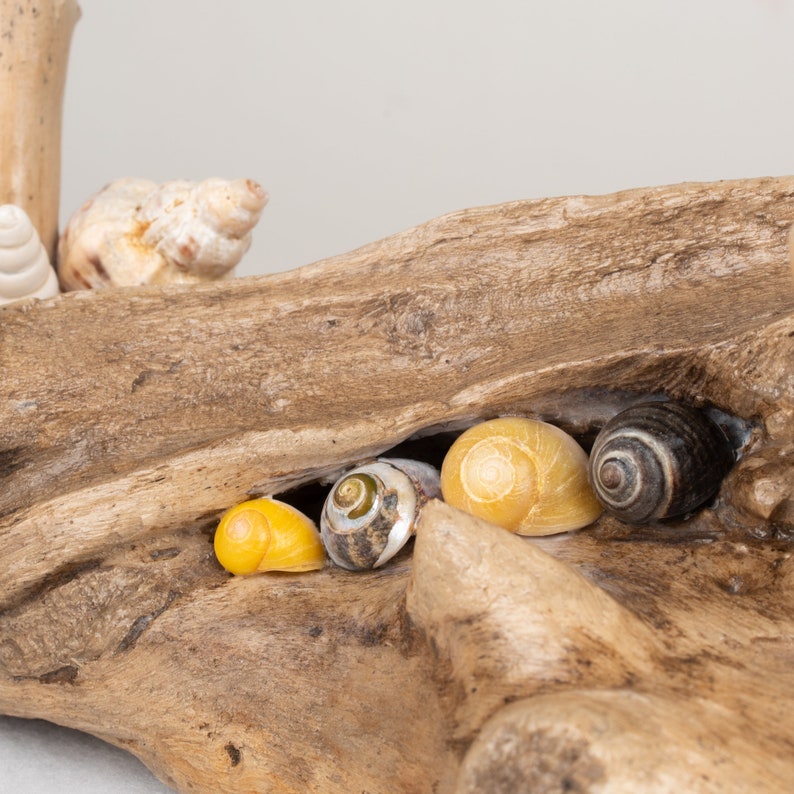 Different Shores Driftwood Sculpture Abstract Art Unique - Etsy