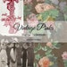Vintage French Pink Digital Collection Digital Download Vintage Papers ...