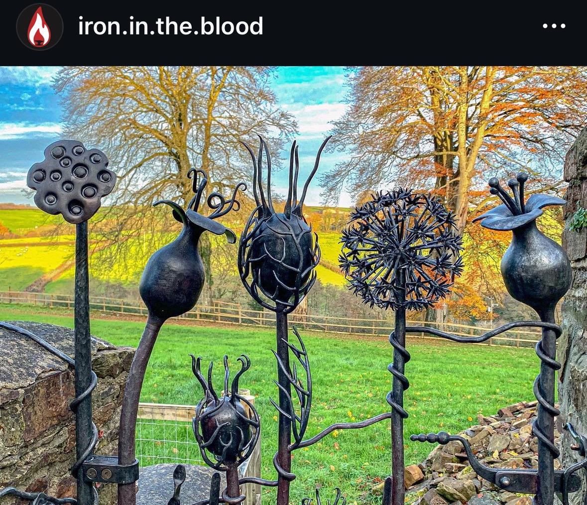 Love in a Mist Gate - Etsy UK