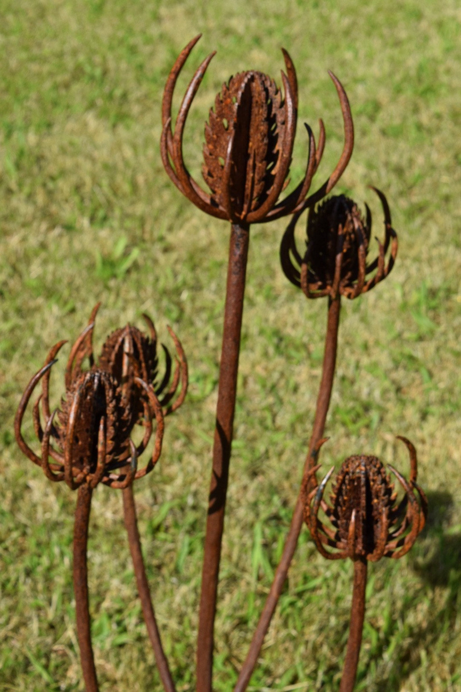 Teasel Sculpture - Etsy