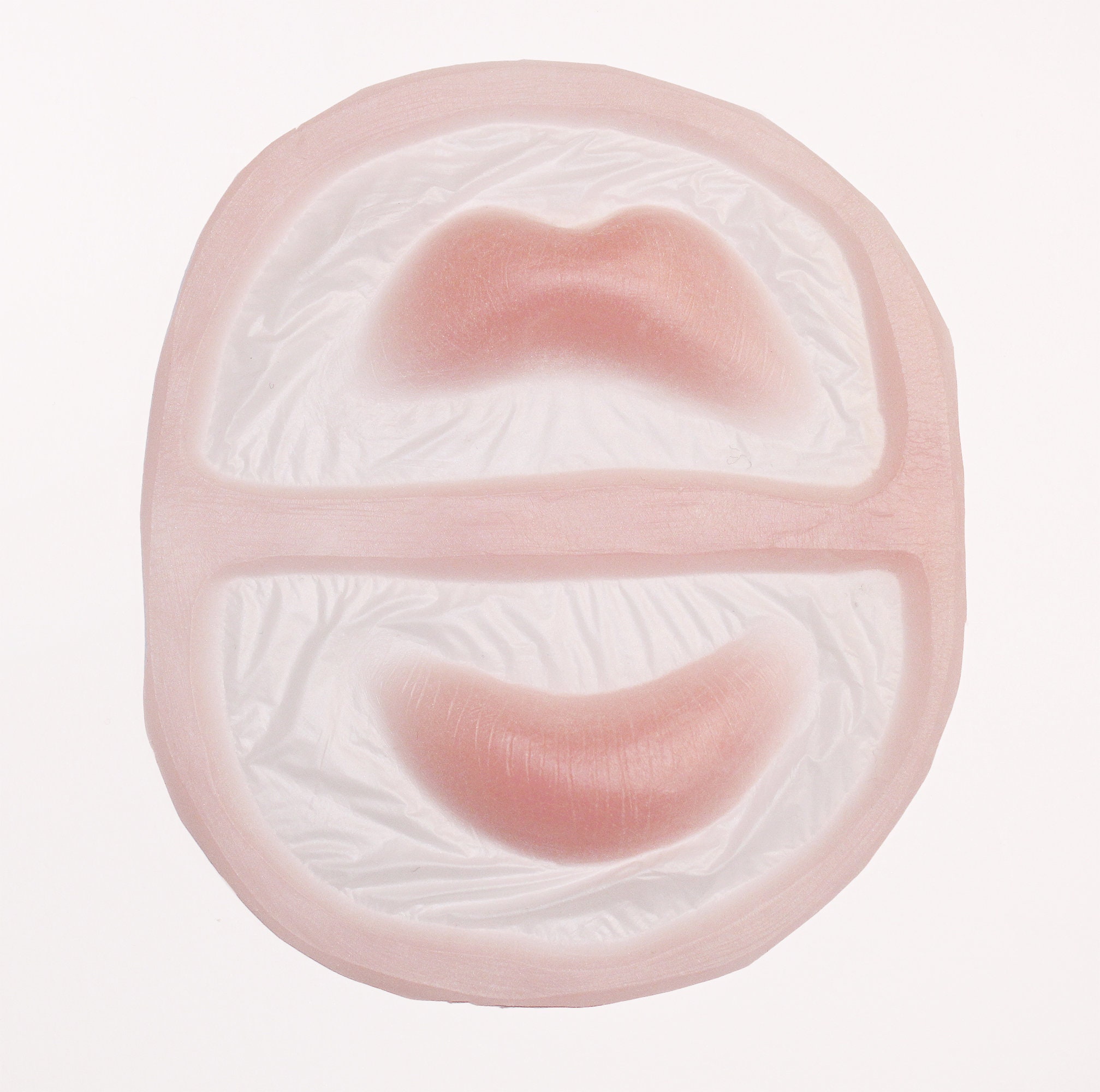 Botched Plastic Surgery Lips Prosthetic // Encapsulated - Etsy Canada