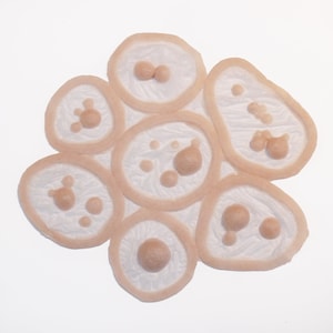 Small Boils Infection Prosthetics // Seven Encapsulated Silicone ...