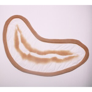 Large Scar Prosthetic // Encapsulated Silicone // Injury Wound - Etsy