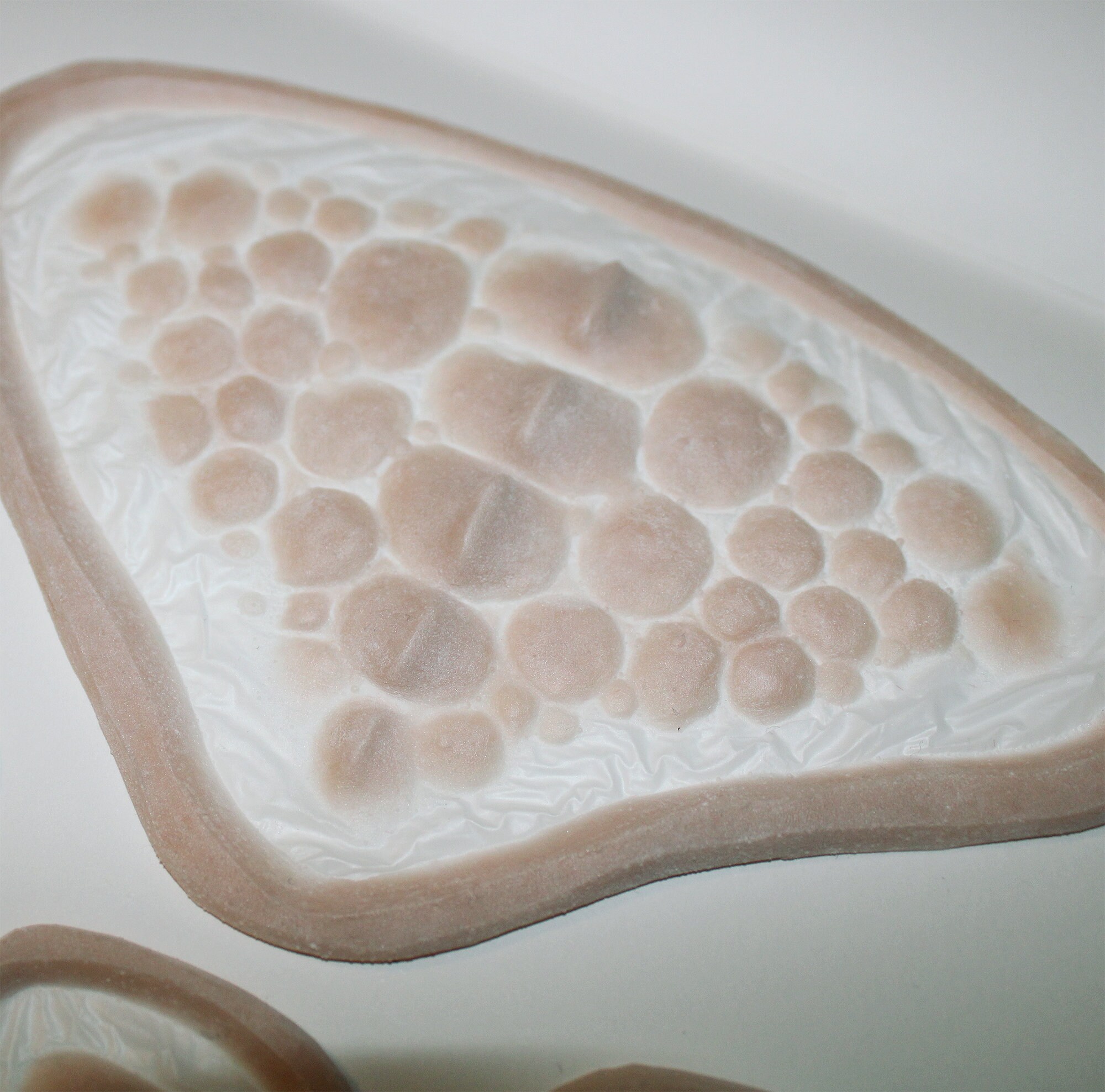 Reptile Prosthetics Set // Encapsulated Silicone Appliances // - Etsy