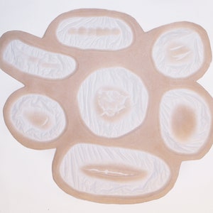 Prosthetics Starter Kit Seven Prosthetic Appliances // SFX MAKEUP ...