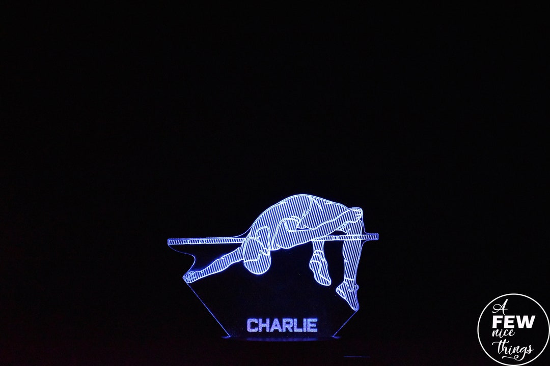 Personalised High Jump LED Night Light: Sports Gift - Etsy