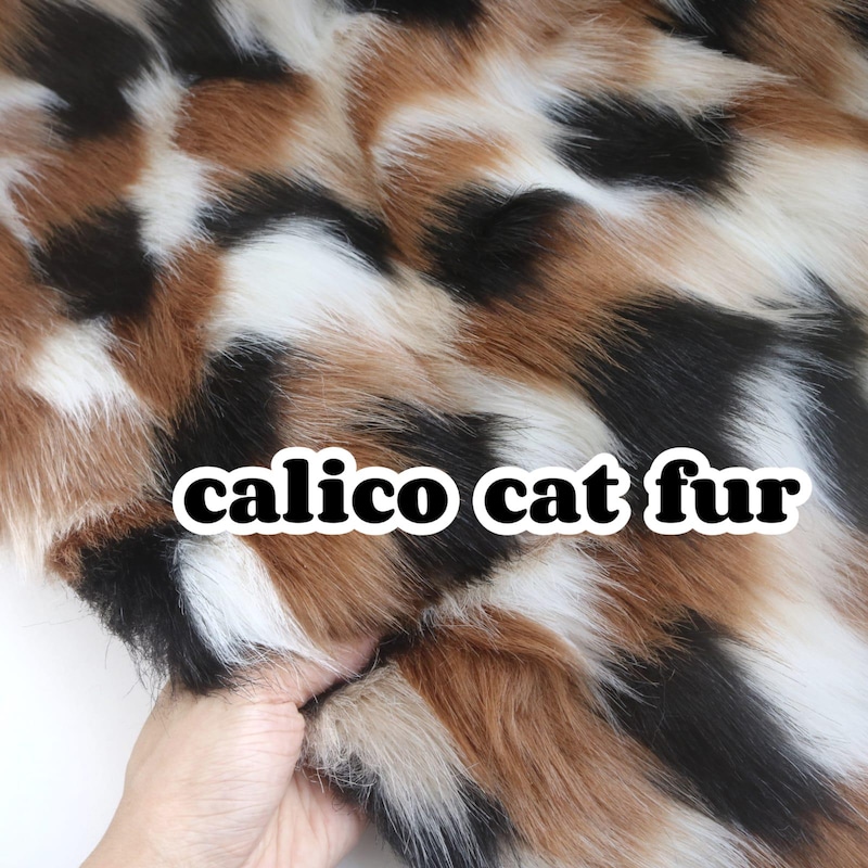Blazing Cat Fur Merchandise - Etsy Canada