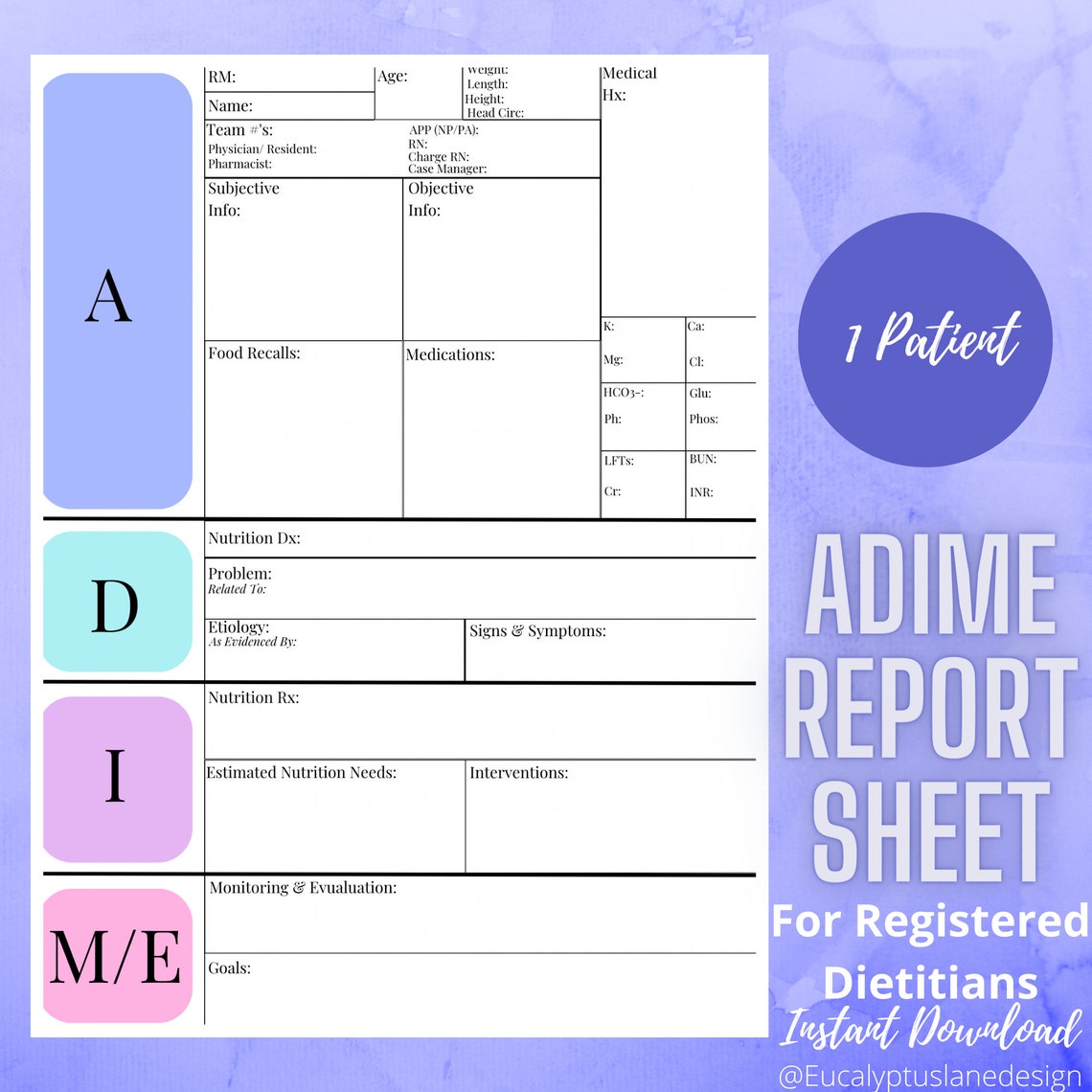 PRINTABLE Report Sheet Registered Dietitian/ Dietetic Student ...