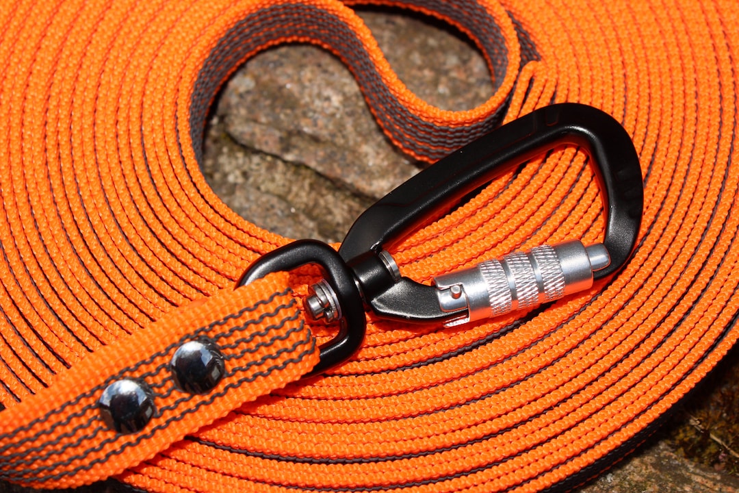 Long Dog Leash, Schutzhund, Tracking, SAR, Working Lead, Mantrailing ...