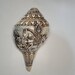 Vintage Conch Shell Antique Style Conch Shell Tibetan Buddhist Ritual ...