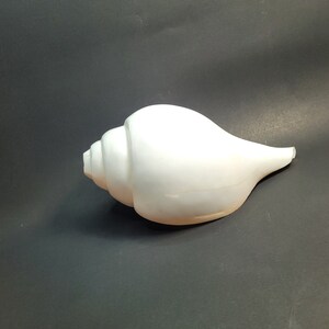 Large Conch Shell | Sankha | Dhung | - Etsy