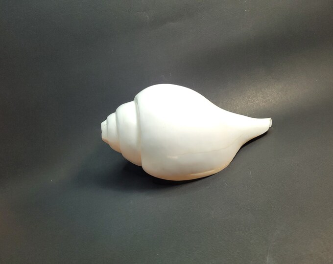 Large Conch Shell | Sankha | Dhung | - Etsy